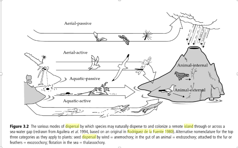 Solved A9.2 ISLAND LIFE The Theory of Island Biogeography | Chegg.com