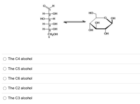 Solved Glucose exists in both linear and cyclic forms in | Chegg.com