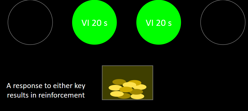 Solved Hi, can you please help me to write a procedure?Here | Chegg.com