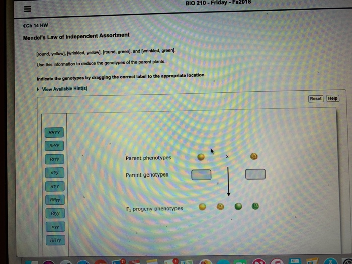 Solved BIO 210-Friday Fazb18 | Chegg.com