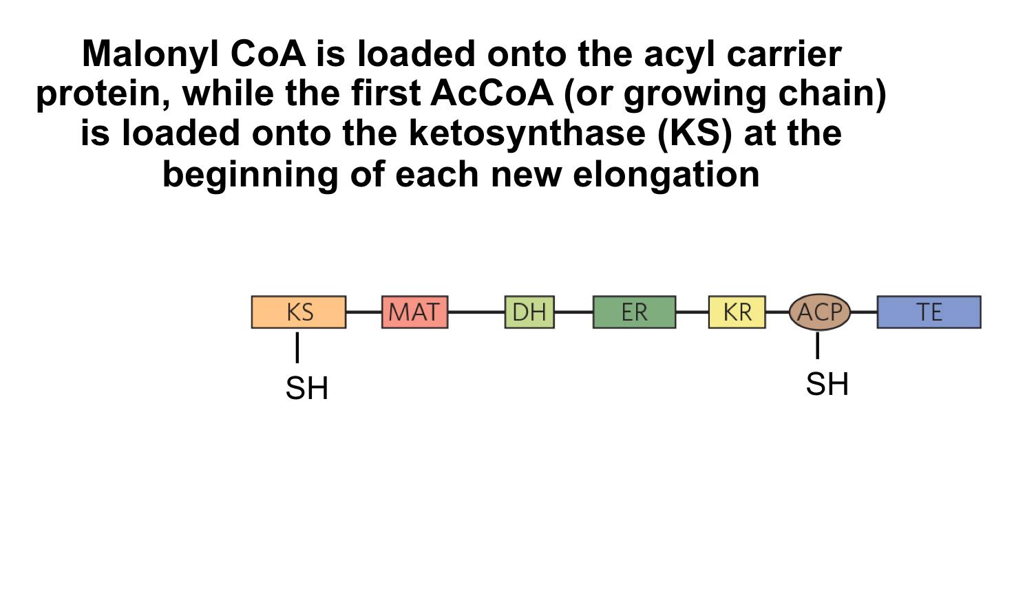Please draw the arrow-pushing mechanism to create | Chegg.com