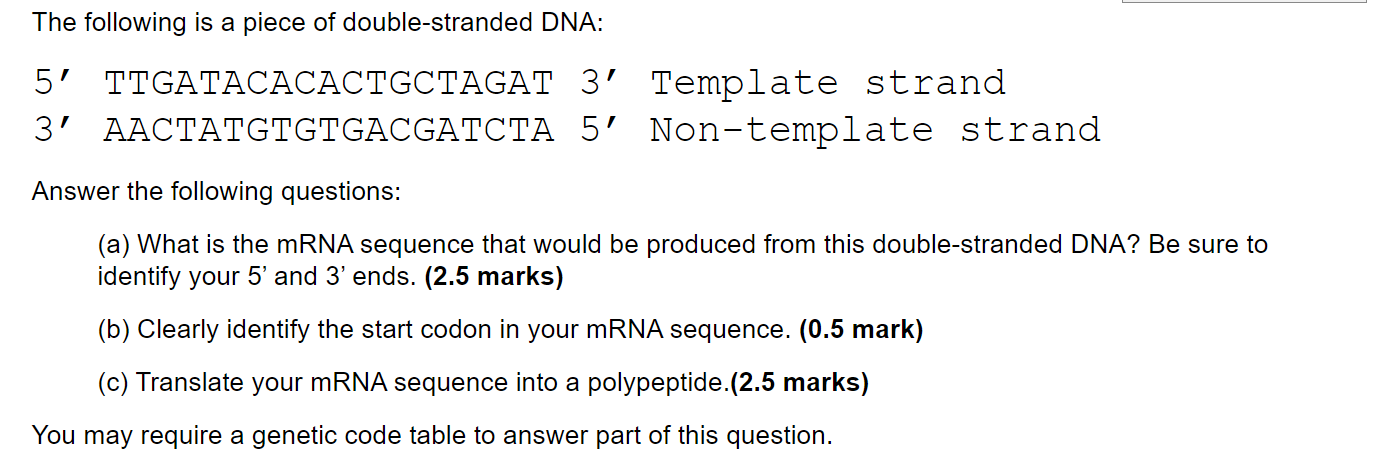 Solved The following is a piece of double-stranded DNA: 5' | Chegg.com