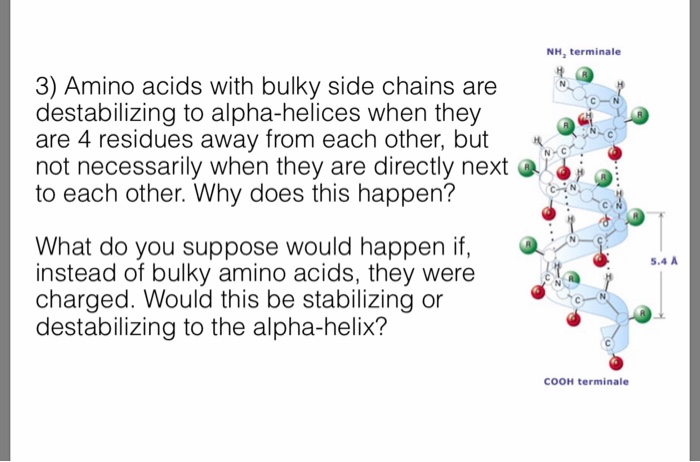 Solved NH, terminale 3) Amino acids with bulky side chains | Chegg.com