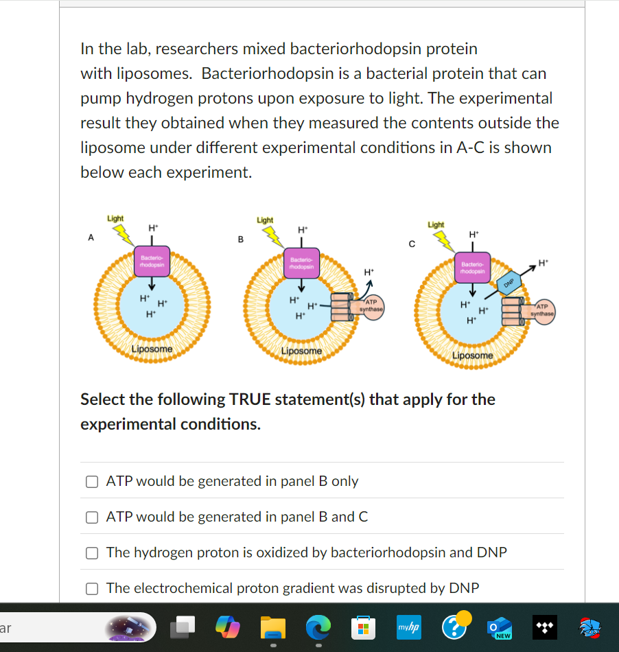 Solved In the lab, researchers mixed bacteriorhodopsin | Chegg.com