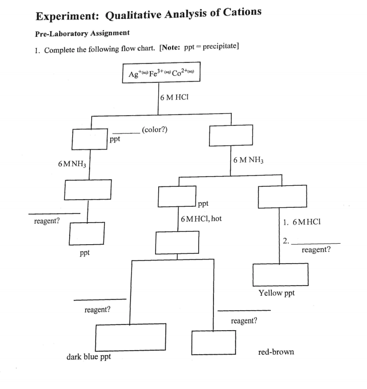 Solved Experiment: Qualitative Analysis of Cations | Chegg.com