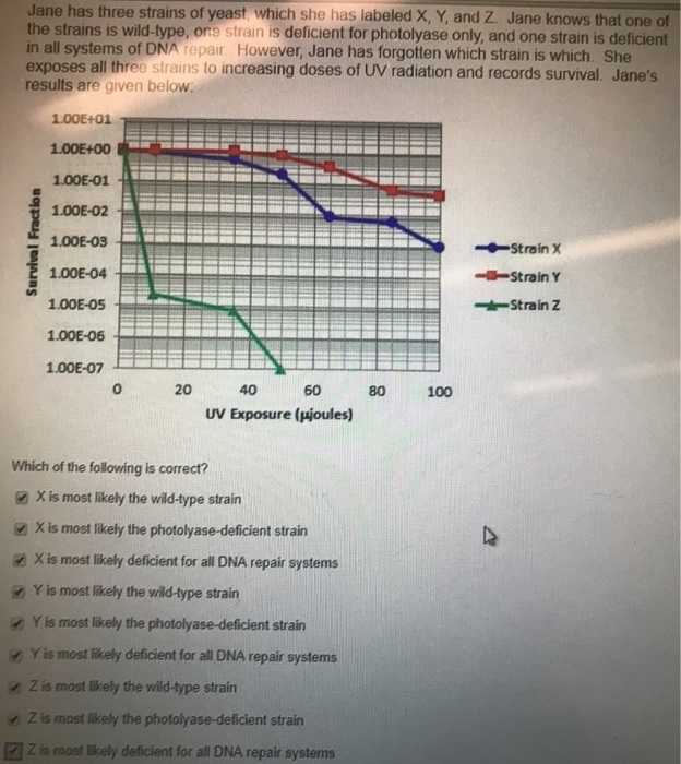 Solved Jane has three strains of yeast, which she has | Chegg.com