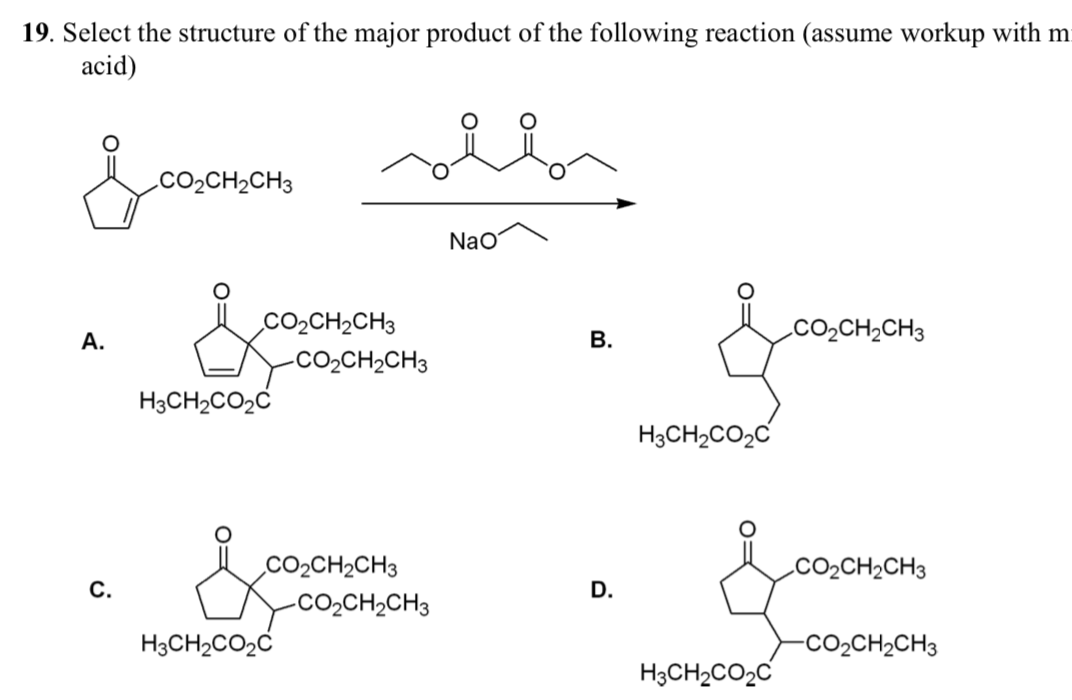 Solved 19. Select the structure of the major product of the | Chegg.com