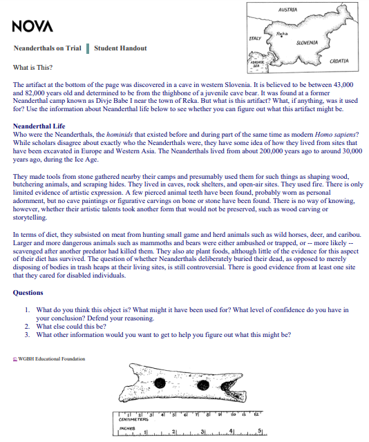 Solved LM12 (Chapter 10) Activity: Neandertals on Trial | Chegg.com