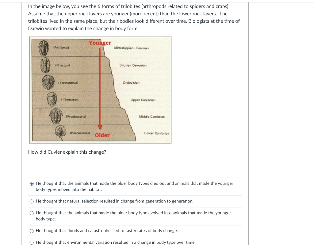 Solved In the image below, you see the 6 forms of trilobites | Chegg.com