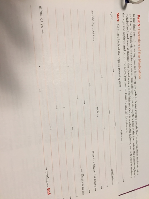 Solved In this final part of the tracing, you are following | Chegg.com