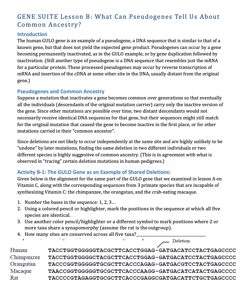 Solved I need help with ONLY 5, 6, and 7 for for Gene Suite | Chegg.com