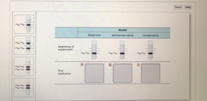 Solved Post Lecture Homework Chapter 04 Experimental | Chegg.com