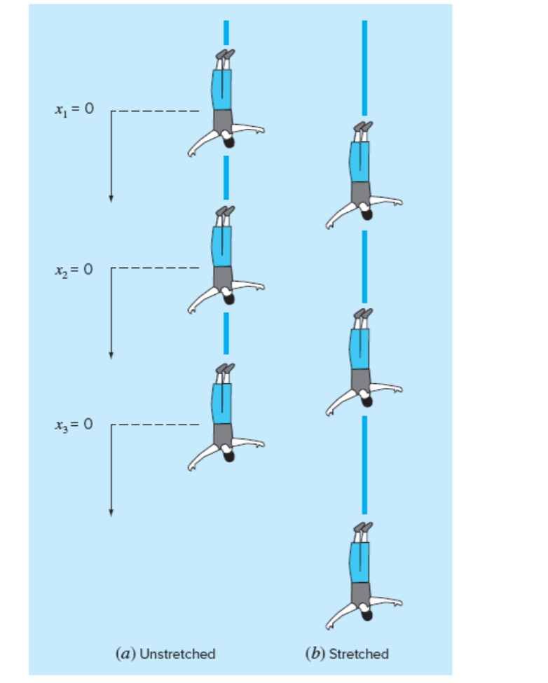 Question 1: (50 marks) Three linked bungee jumpers | Chegg.com