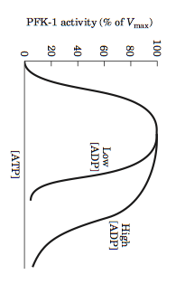 [Solved]: The effect of ATP on the allosteric enzyme PFK-1 i