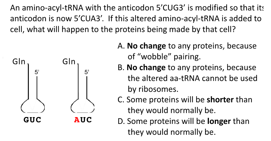 Solved An amino-acyl-tRNA with the anticodon 5′CUG′ is | Chegg.com