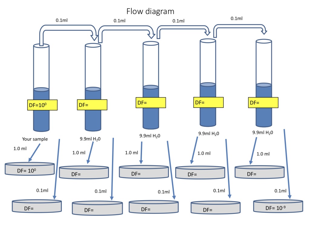 his the flow diagram in EX 18 that you would have | Chegg.com