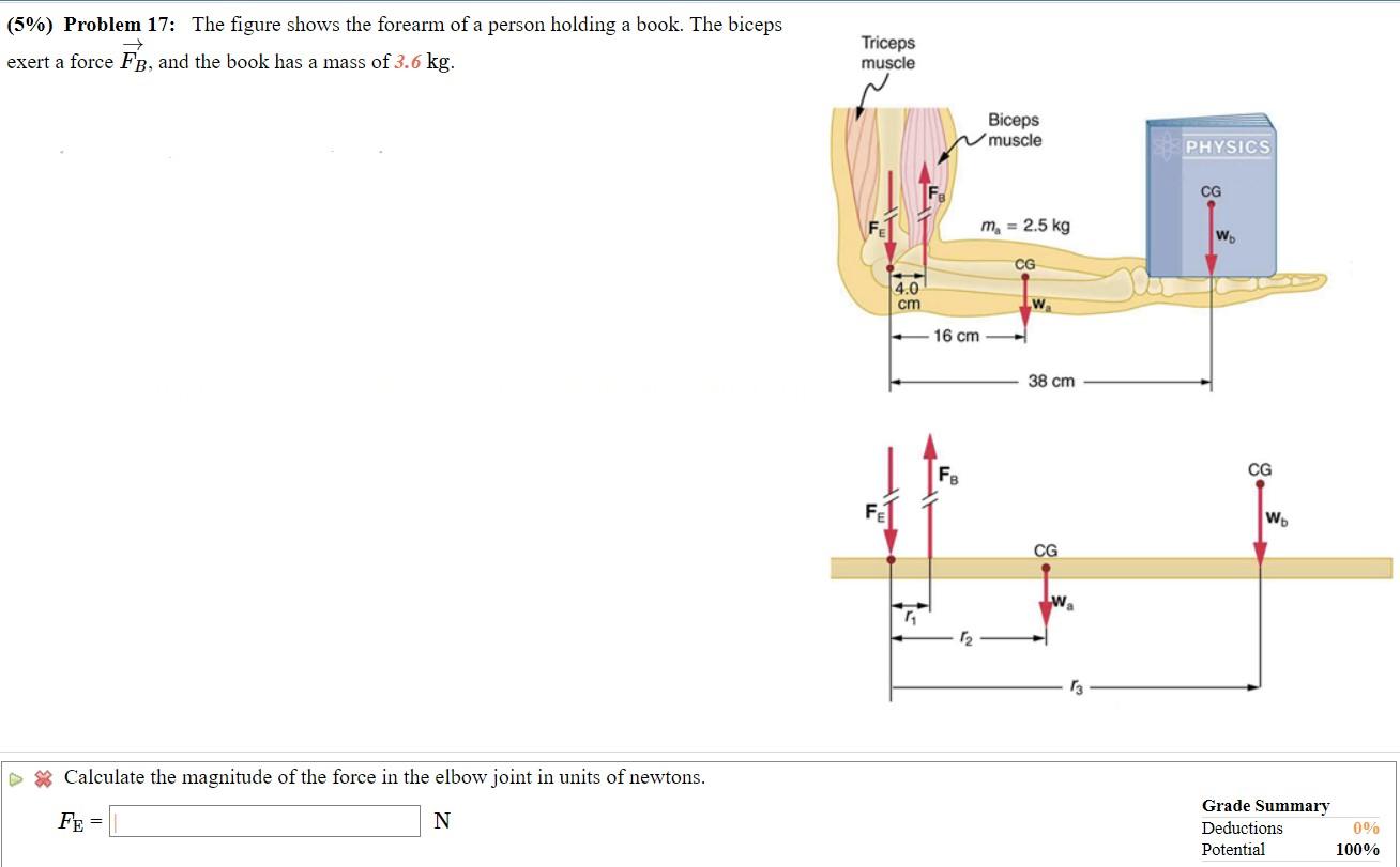 Solved (5\%) Problem 17: The figure shows the forearm of a | Chegg.com Solved (5\%) Problem 17: The figure shows the forearm of a | Chegg.com