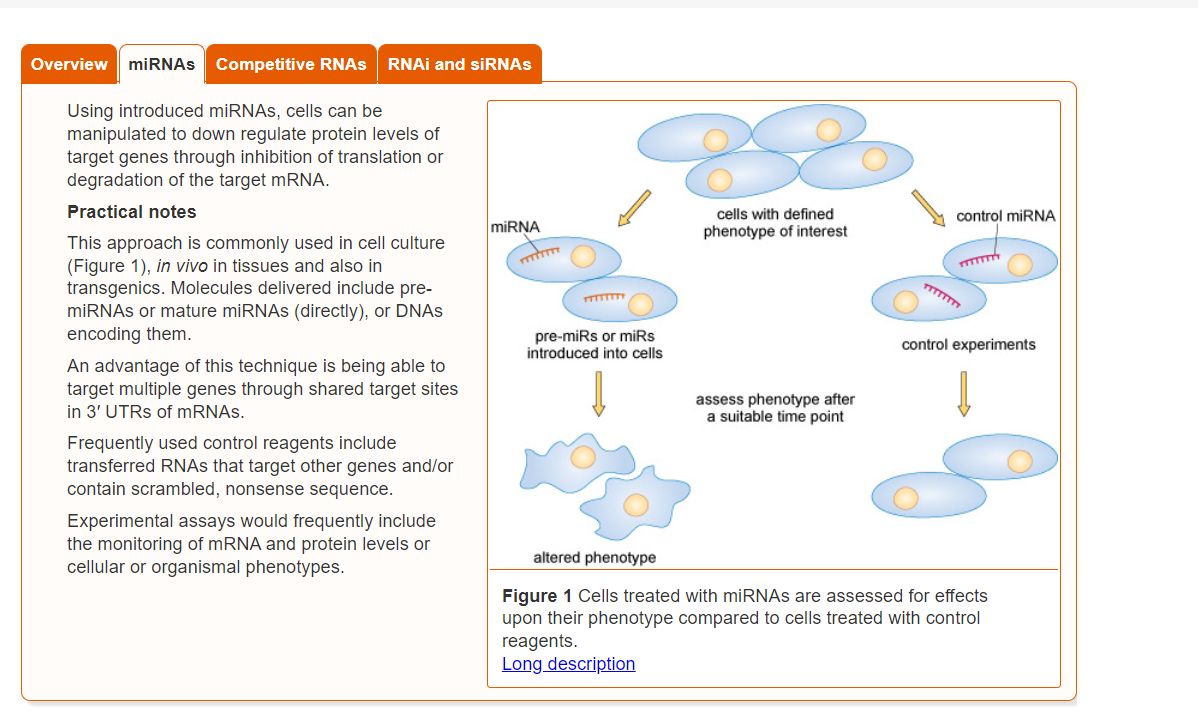 Solved 7 RNA modulation as a research tool The manipulation | Chegg.com