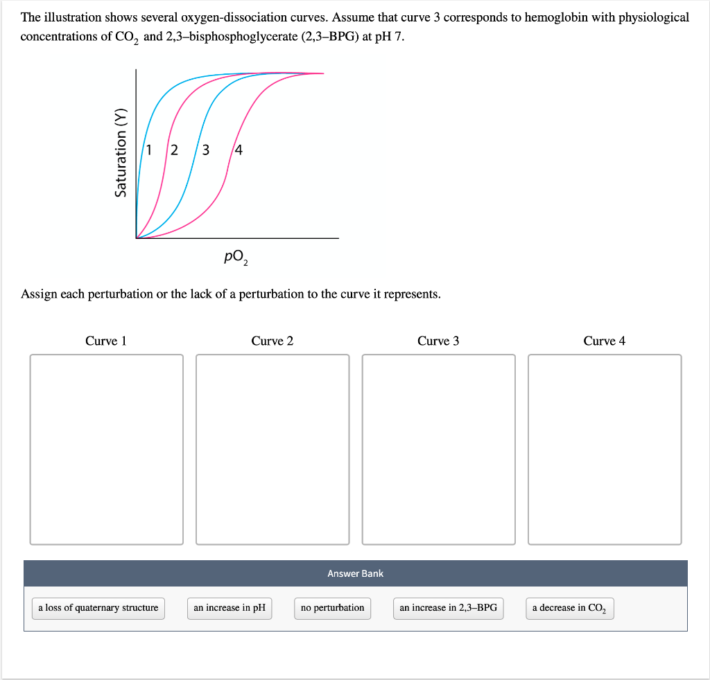 Solved Can you answer this please! The illustration shows | Chegg.com