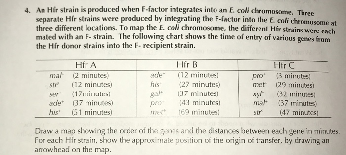 Solved 4. An Hir strain is produced when F-factor integrates | Chegg.com