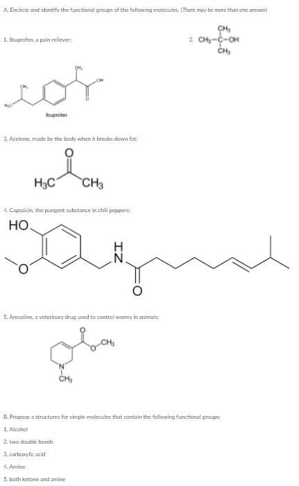 Solved A. Encircle and identify the functional groups of the | Chegg.com