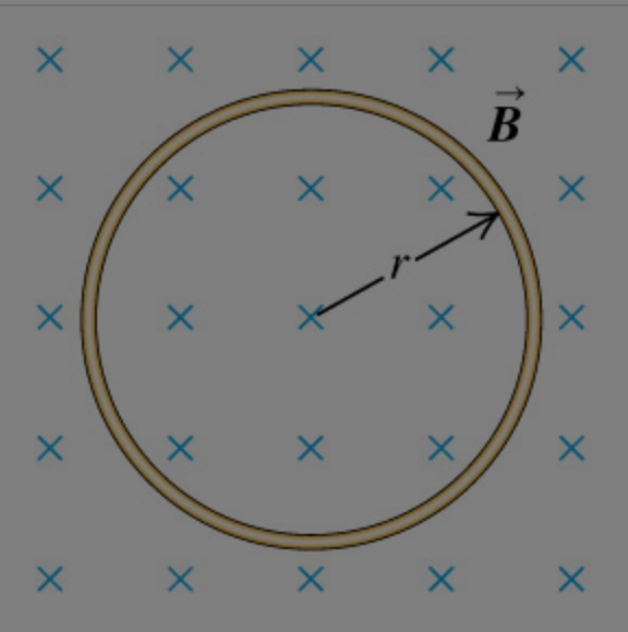 Solved A circular loop of wire with radius 0.0290 m and | Chegg.com