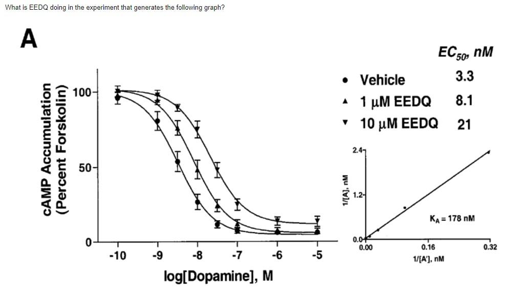 Solved What is EEDQ doing in the experiment that generates | Chegg.com