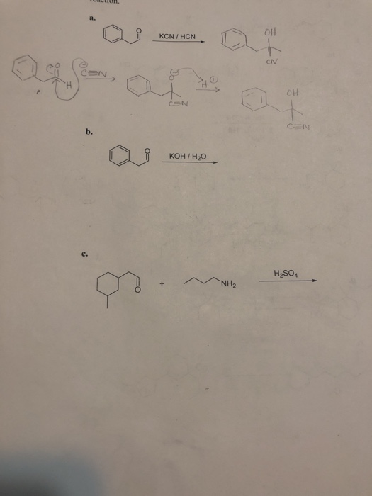 Solved a. oH KCN/ HCN CN b. KOH / H20 c. H2SO4 NH2 | Chegg.com