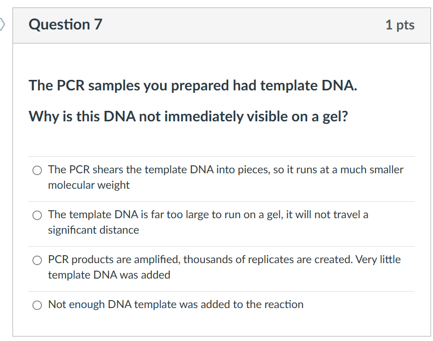 Solved Question 71 ﻿ptsThe PCR samples you prepared had | Chegg.com
