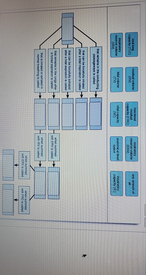 Solved any amount of functional residual capacity (FRC) | Chegg.com