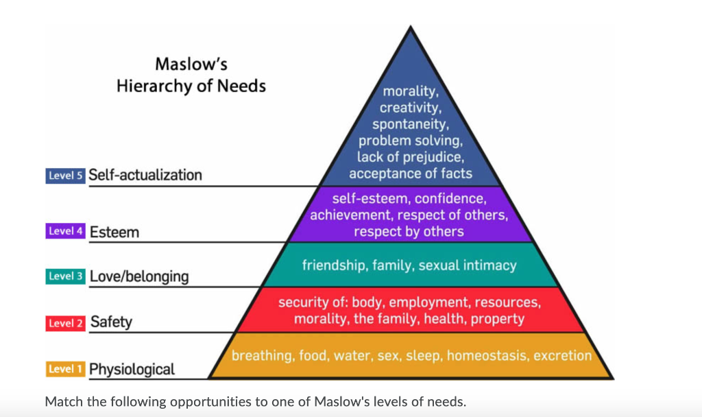Solved Maslow's Hierarchy of Needs Level 5 | Chegg.com