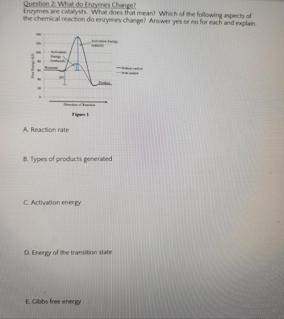Solved Question 2: What do Enzymes Change? Enzymes are | Chegg.com
