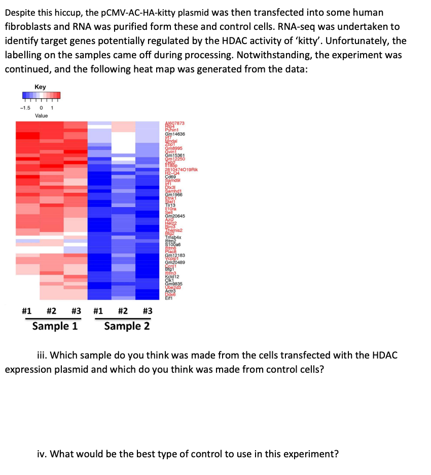 Solved Despite this hiccup, the pCMV-AC-HA-kitty plasmid was | Chegg.com