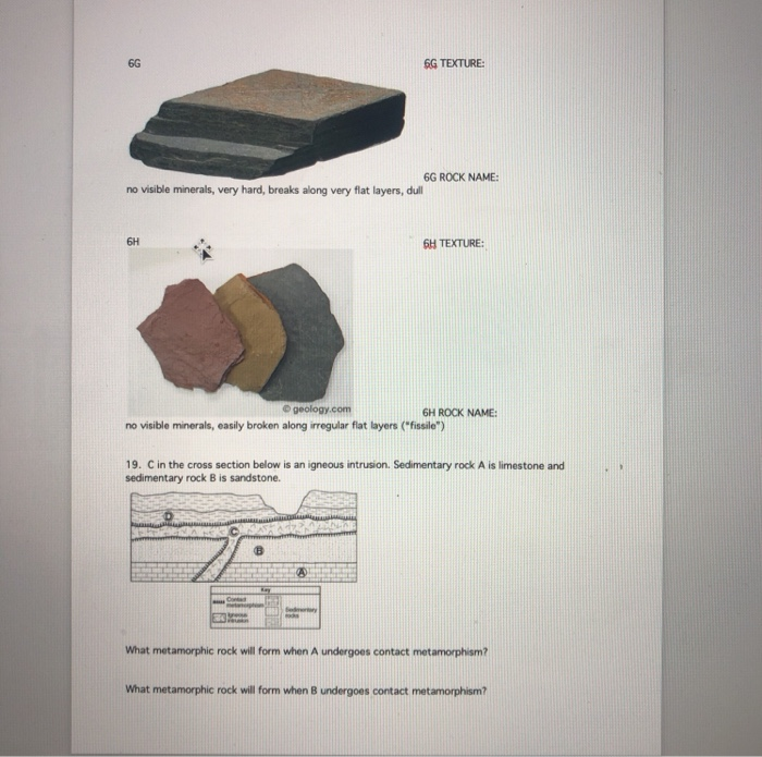 NAME: GEOL 1101 LAB #4 METAMORPHIC ROCKS urs during | Chegg.com