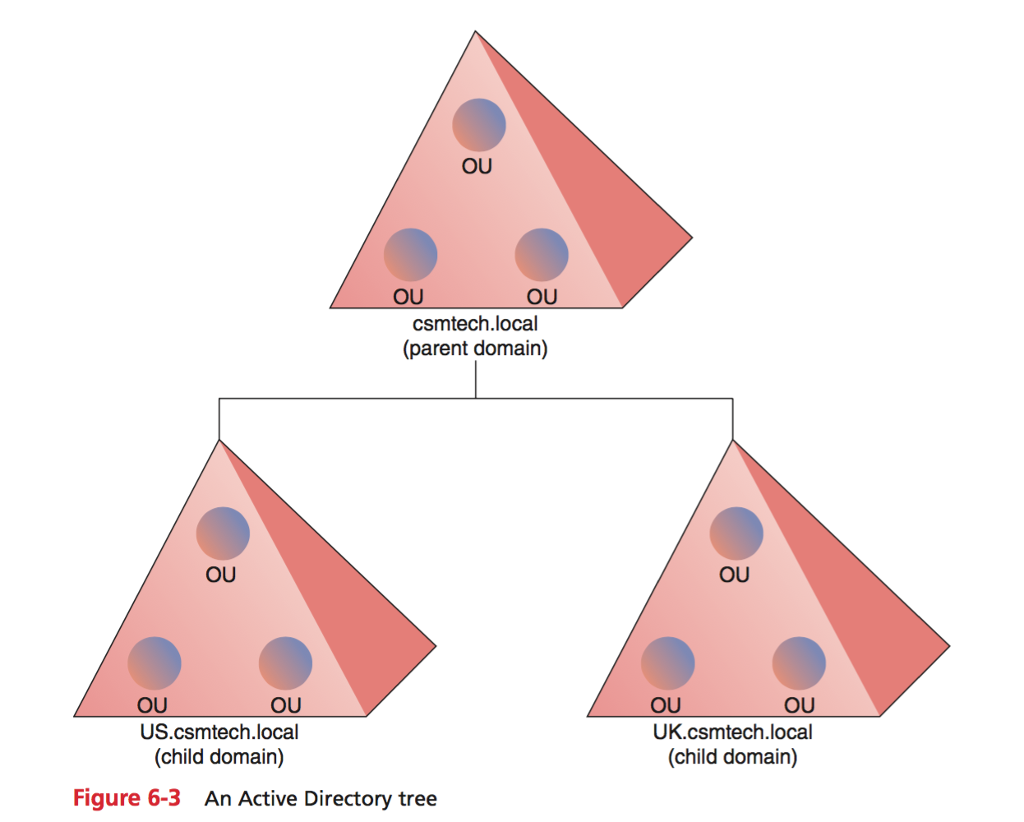 When CSM Tech Publishing started its Windows network | Chegg.com