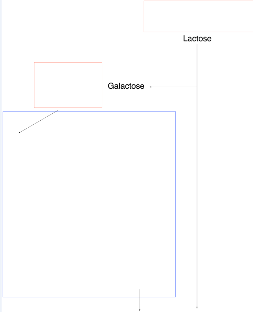 Solved Lactose Galactose | Chegg.com