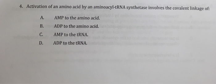 Solved Activation of an amino acid by an aminoacyl-tRNA se | Chegg.com