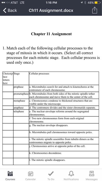 Solved Match each of the following cellular processes to the | Chegg.com