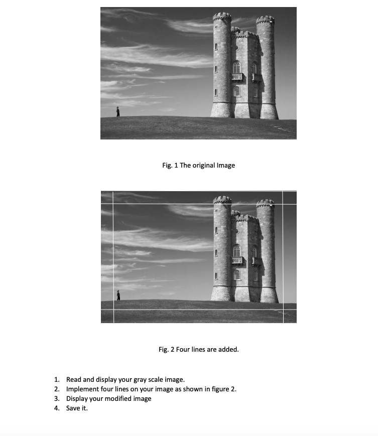 Solved Fig. 1 The original Image Fig. 2 Four lines are | Chegg.com