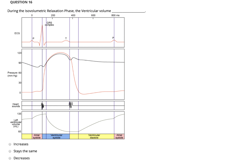 Solved QUESTION 16 During the Isovolumetric Relaxation | Chegg.com