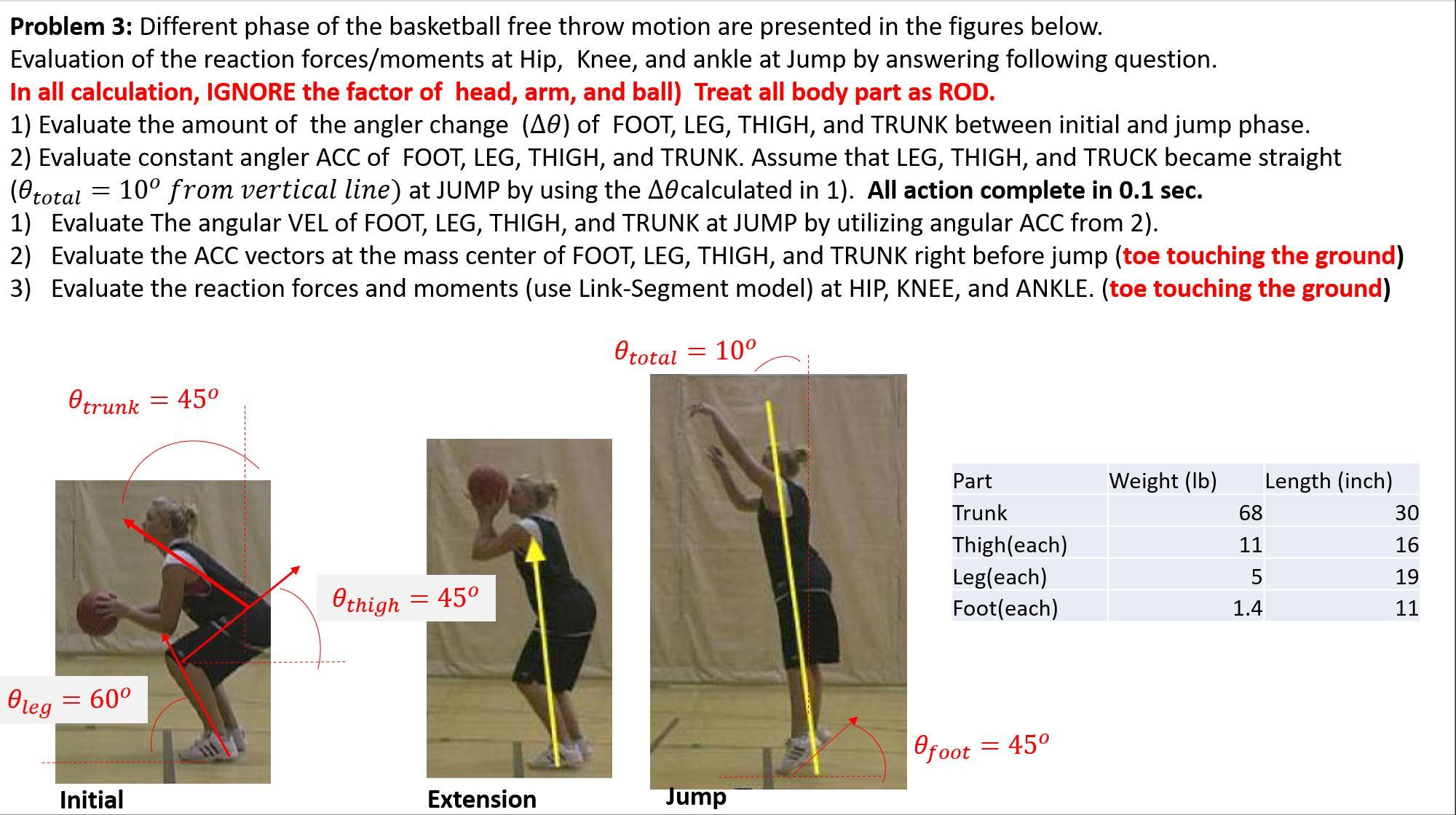 Problem 3: Different phase of the basketball free | Chegg.com
