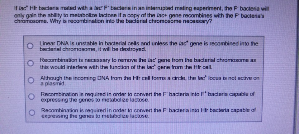 Solved If lac Hfr bacteria mated with a lac F bacteria in an | Chegg.com