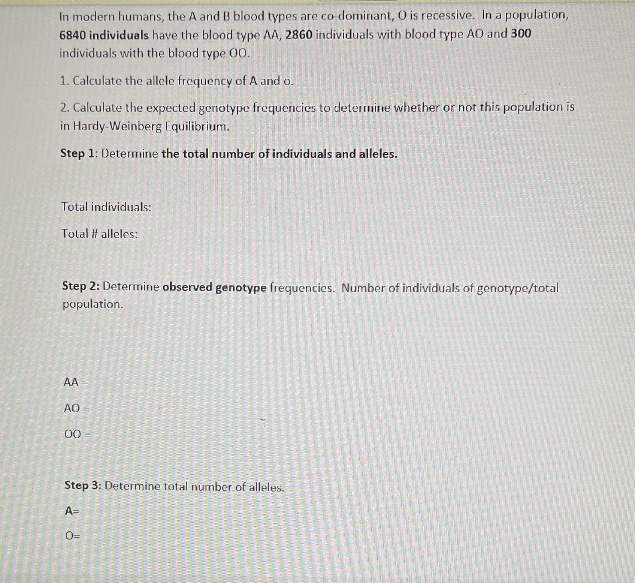 In modern humans, the A and B blood types are | Chegg.com