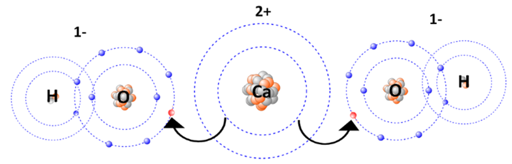 Solved Calcium hydroxide (shown above), when added to water, | Chegg.com