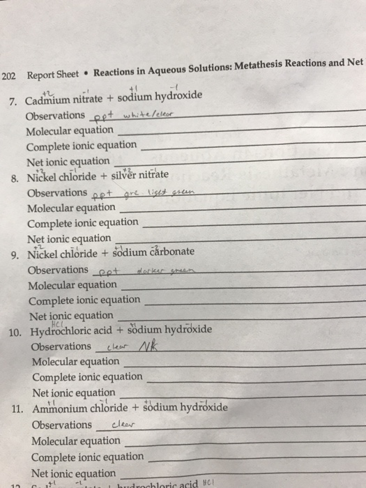Solved 202 Report Sheet Reactions in Aqueous Solutions: | Chegg.com