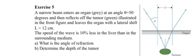 Solved A narrow beam enters an organ (grey) at an angle | Chegg.com