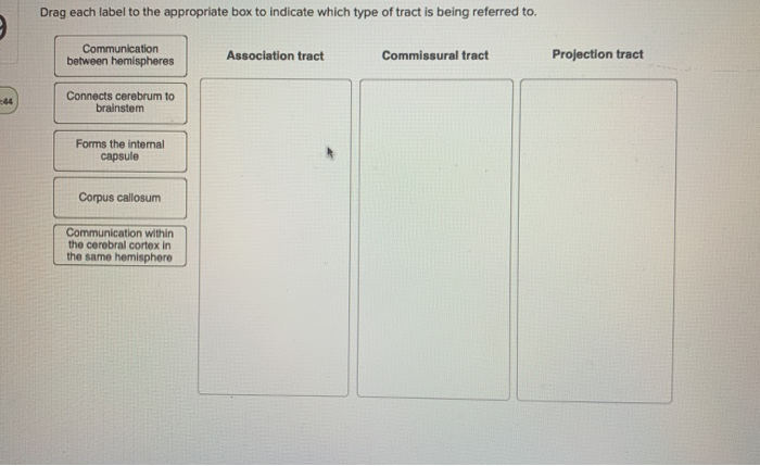 33 Drag Each Label To The Appropriate Box To Indicate Which Type Of ... 33 Drag Each Label To The Appropriate Box To Indicate Which Type Of ...
