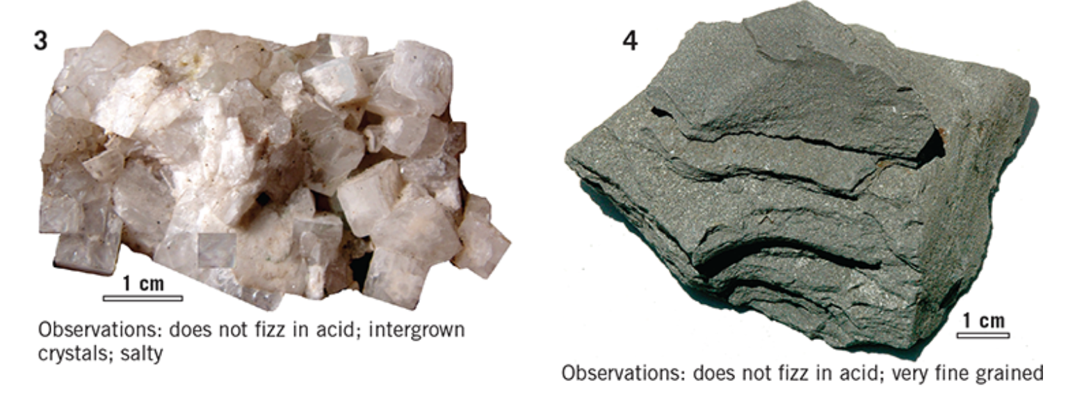 Solved A. Analyze the sedimentary rocks in Fig. A6.3.1. | Chegg.com