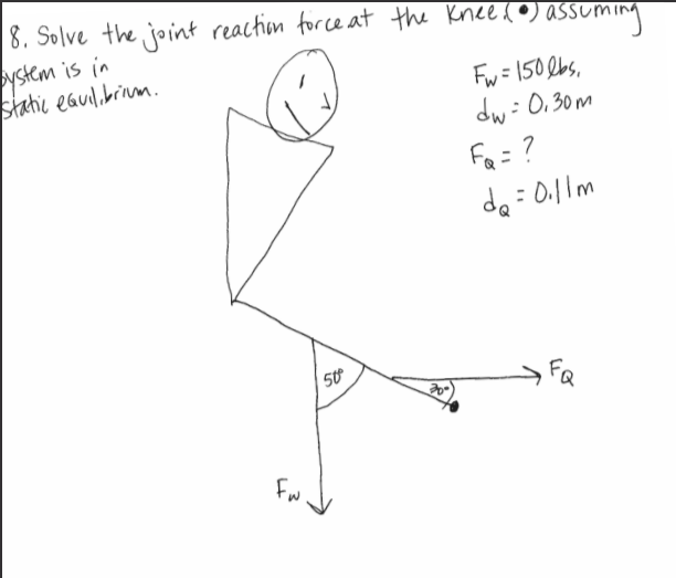 Solve the joint reaction force at the knee (.) | Chegg.com
