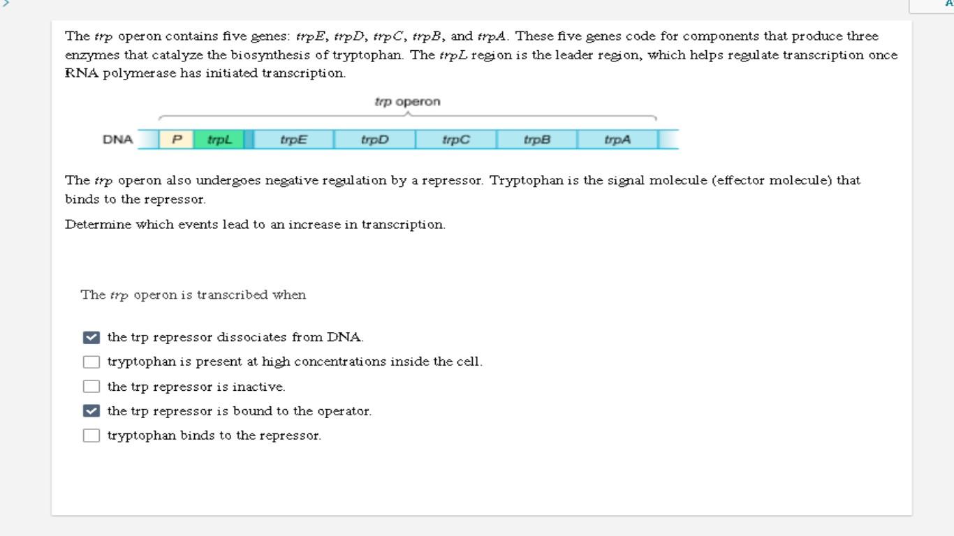 Solved The trp operon contains five genes: trpe, trpD, YpC, | Chegg.com